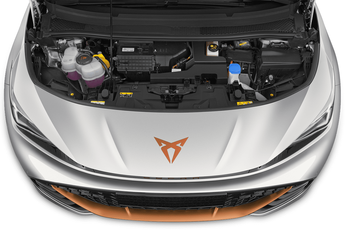 Cupra Born (neues Modell) (2026): Technische Daten, Maße, Garantien und ...
